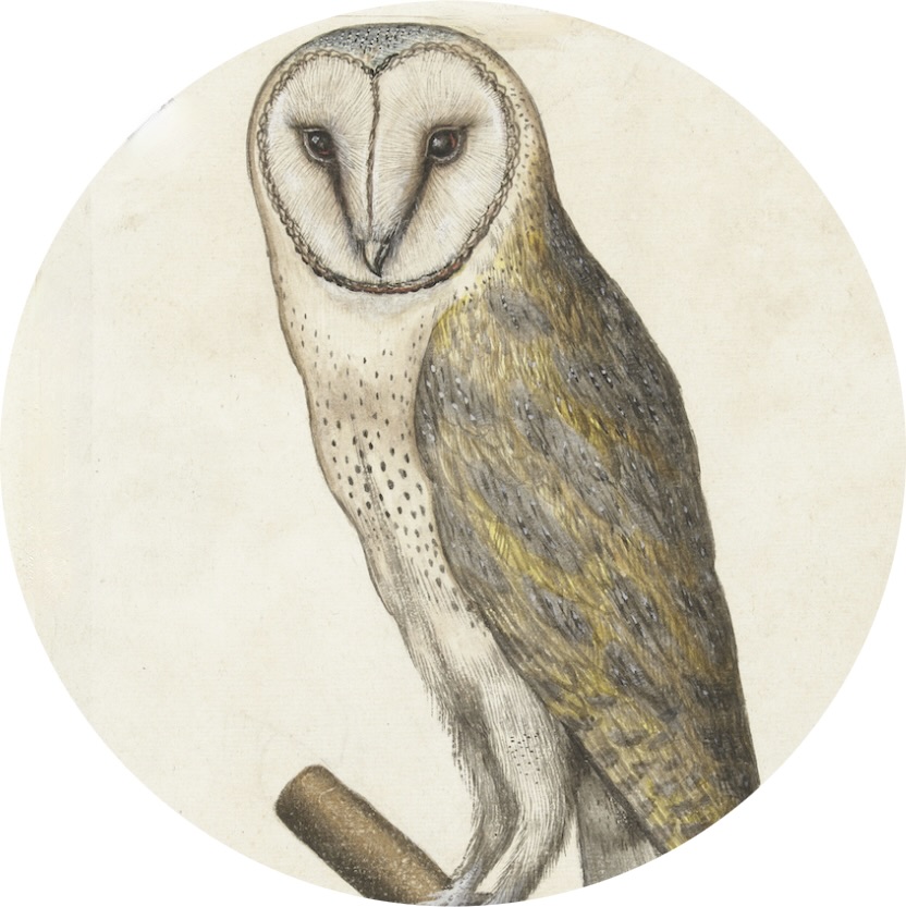 Nurturing Earth Reflexology | Boise Reflexology